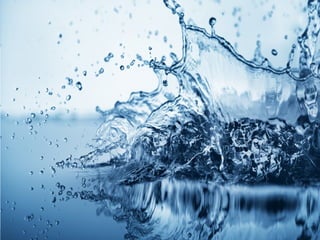 Hemijska organizacija ćelije; voda i neorganske materije | PPT