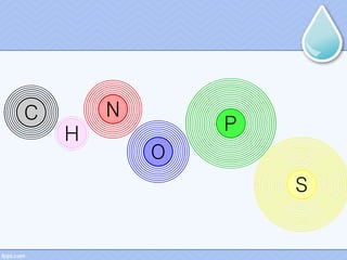 Hemijska organizacija ćelije; voda i neorganske materije | PPT