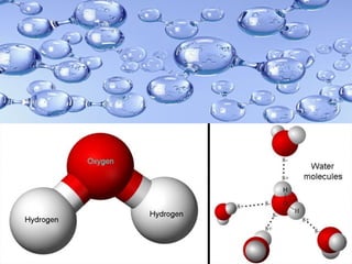 Hemijska organizacija ćelije; voda i neorganske materije | PPT