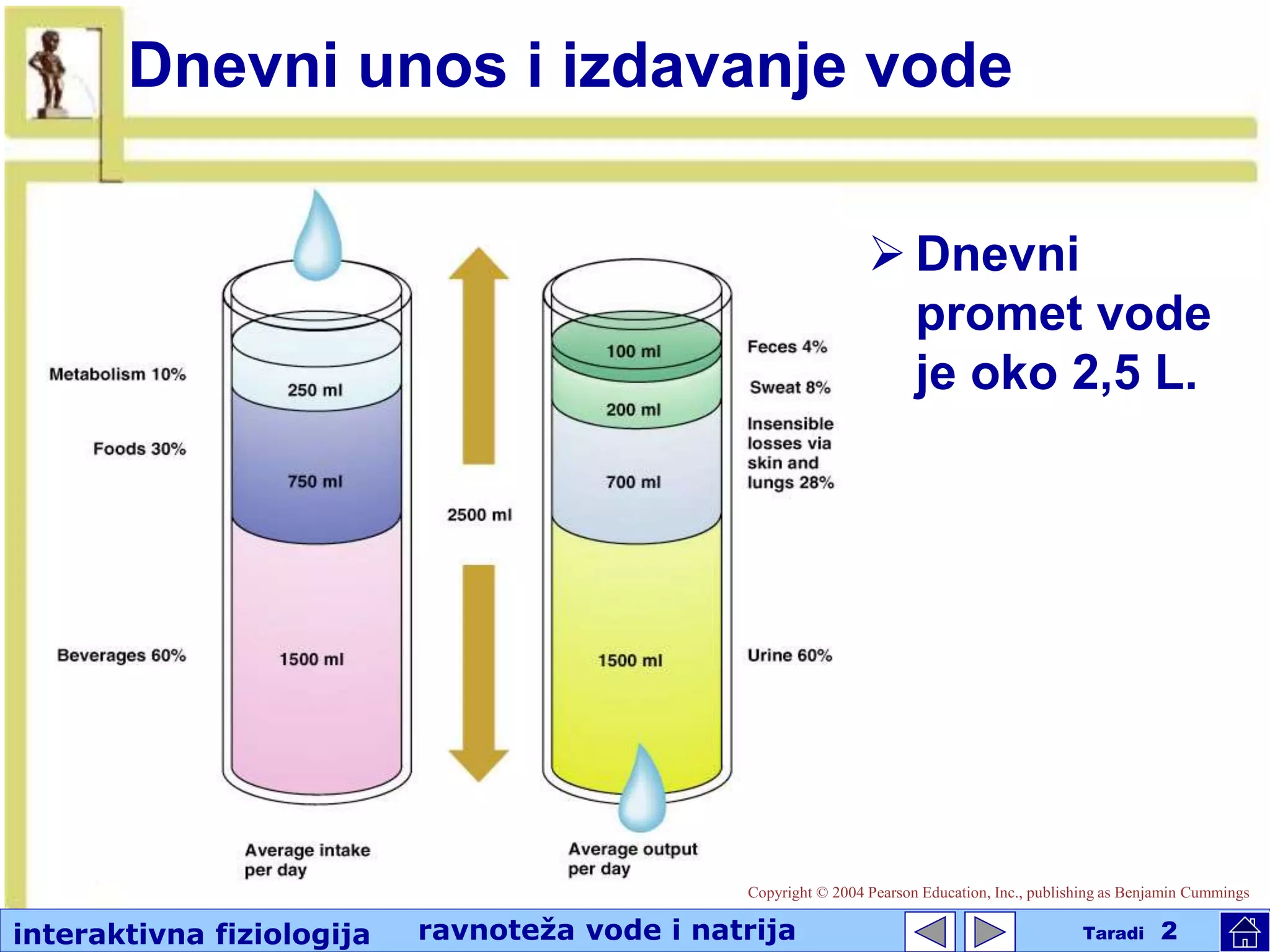 Ravnoteža vode i natrija | PPT