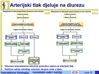 Ravnoteža vode i natrija | PPT