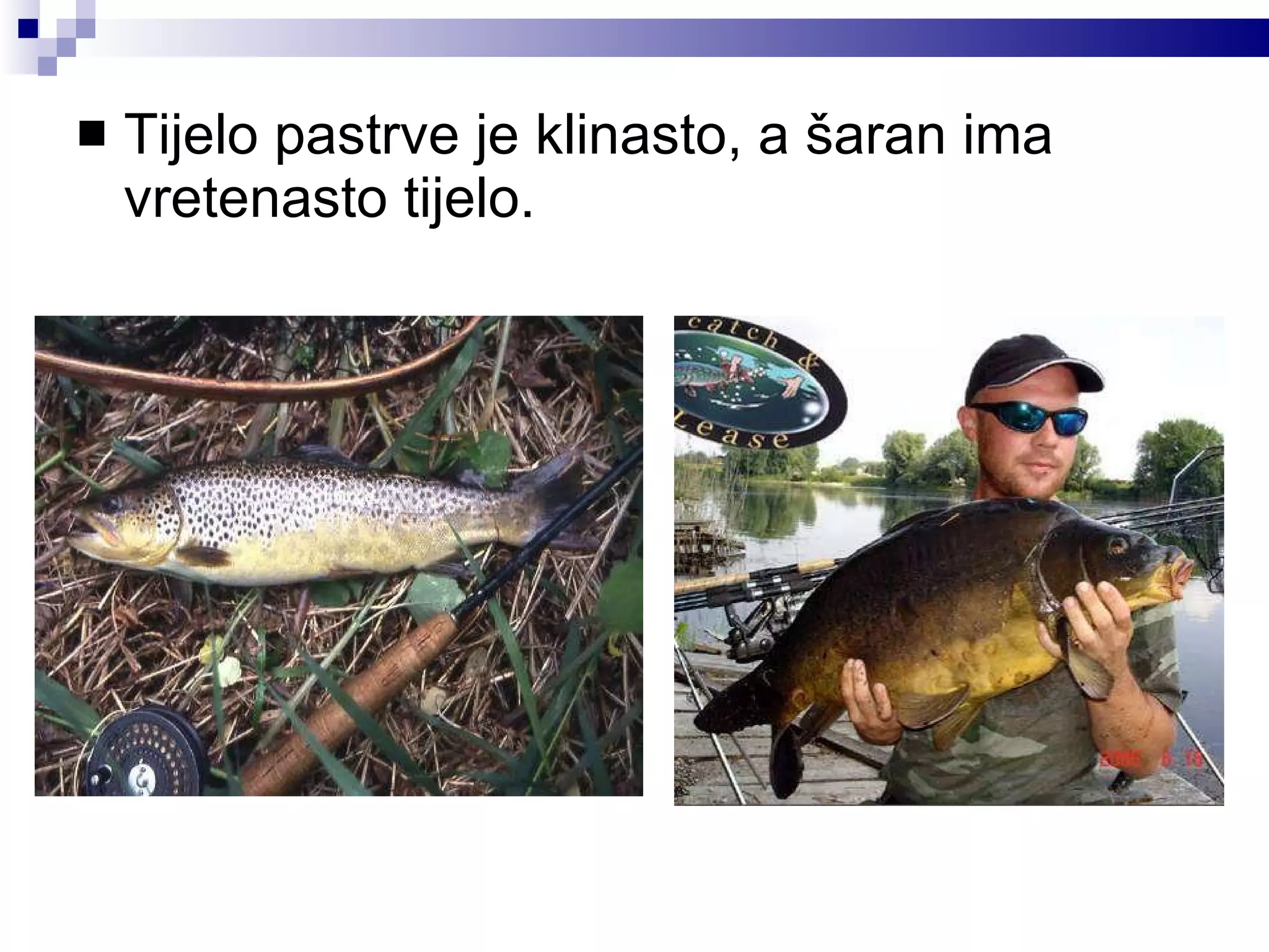 Vode tekucice | PPS