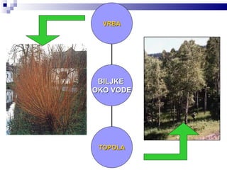 Vode tekucice | PPS