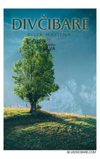 Vodic Divcibare .pdf