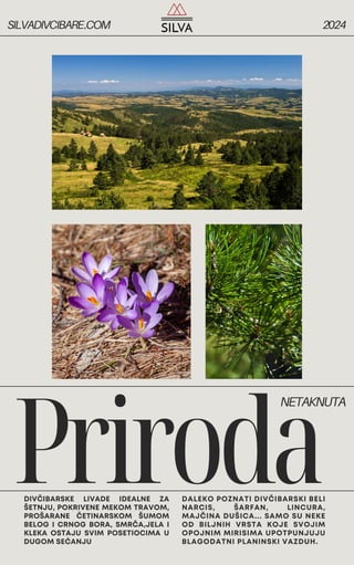 Vodic Divcibare .pdf