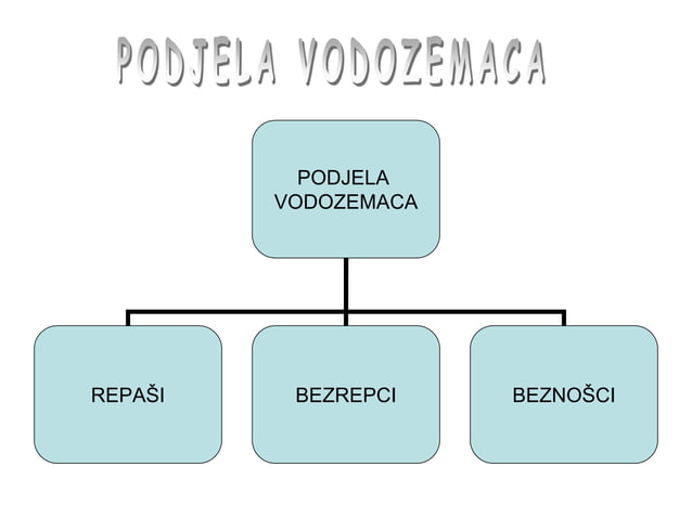 vodozemci-razmnozavanje i opste karakteristike | PPT
