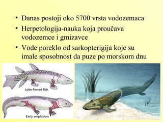 Vodozemci | PPT