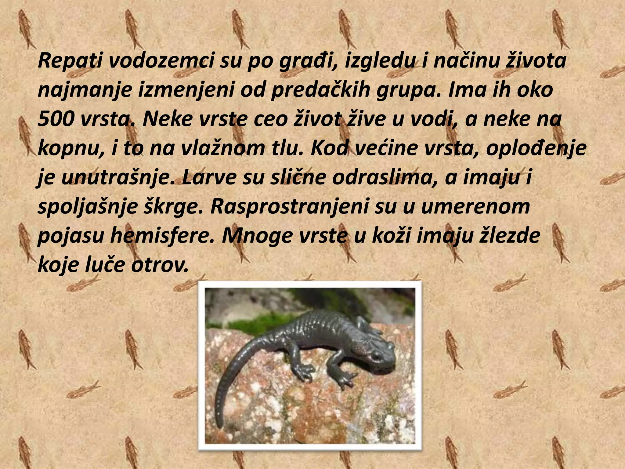 Vodozemci | PPTX