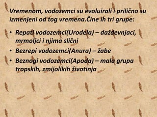 Vodozemci | PPTX