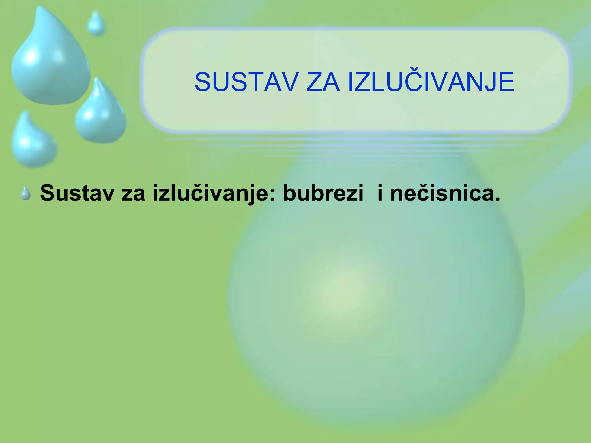 VODOZEMCI (AMPHIBIA).pptx