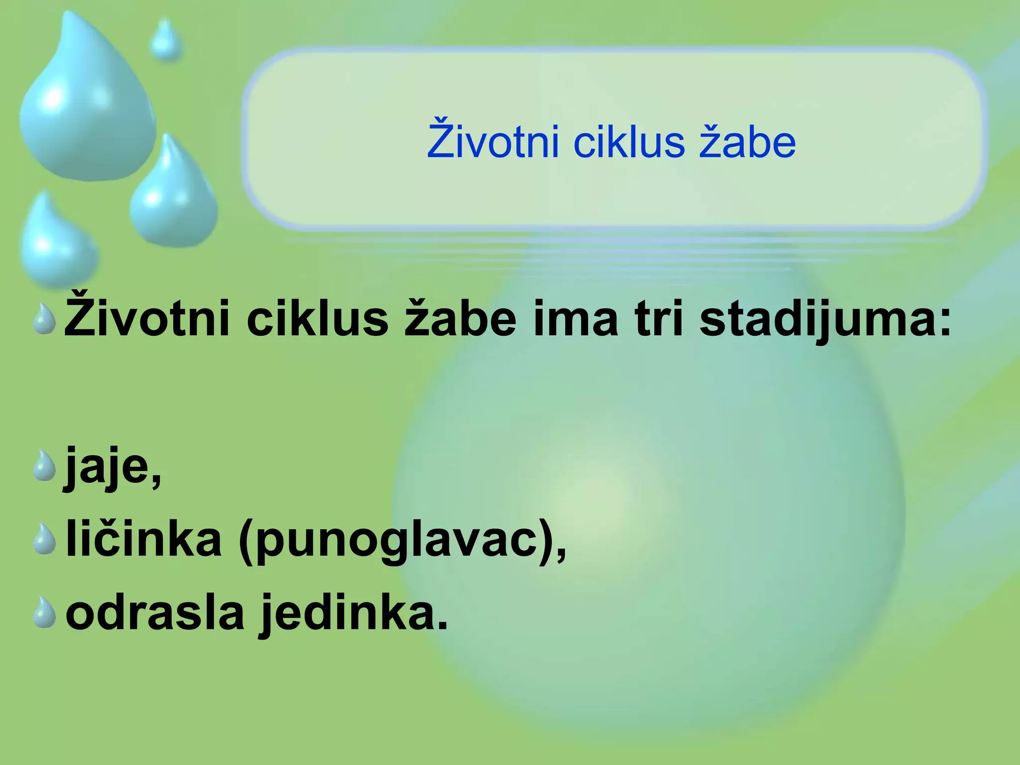 VODOZEMCI (AMPHIBIA).pptx