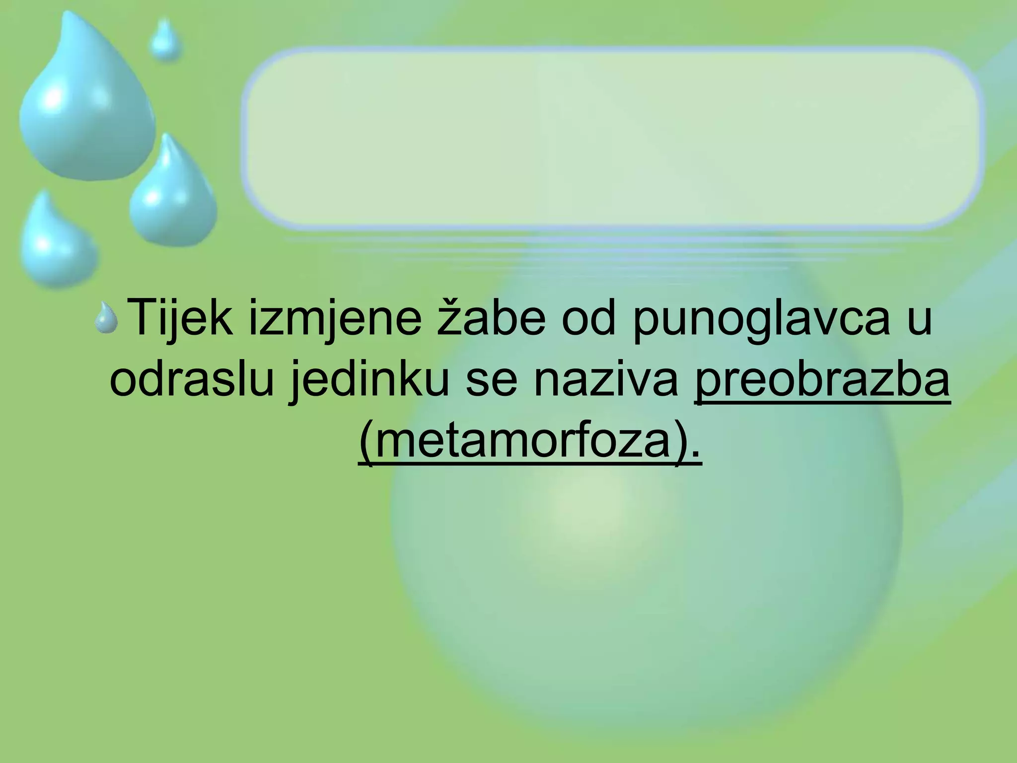 VODOZEMCI (AMPHIBIA).pptx