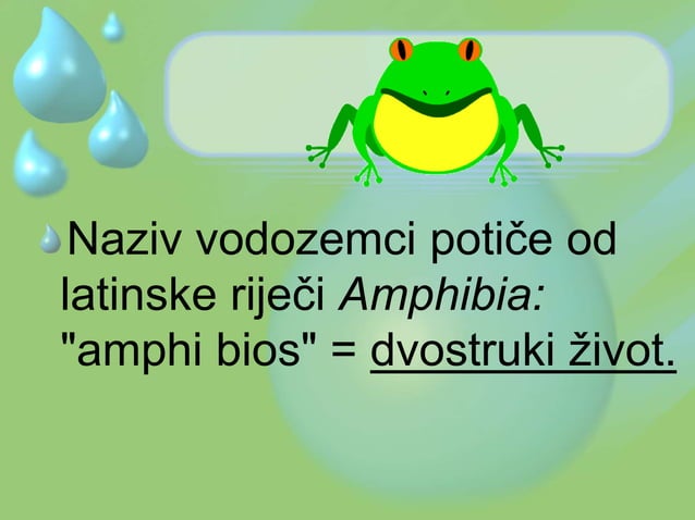 VODOZEMCI (AMPHIBIA).pptx