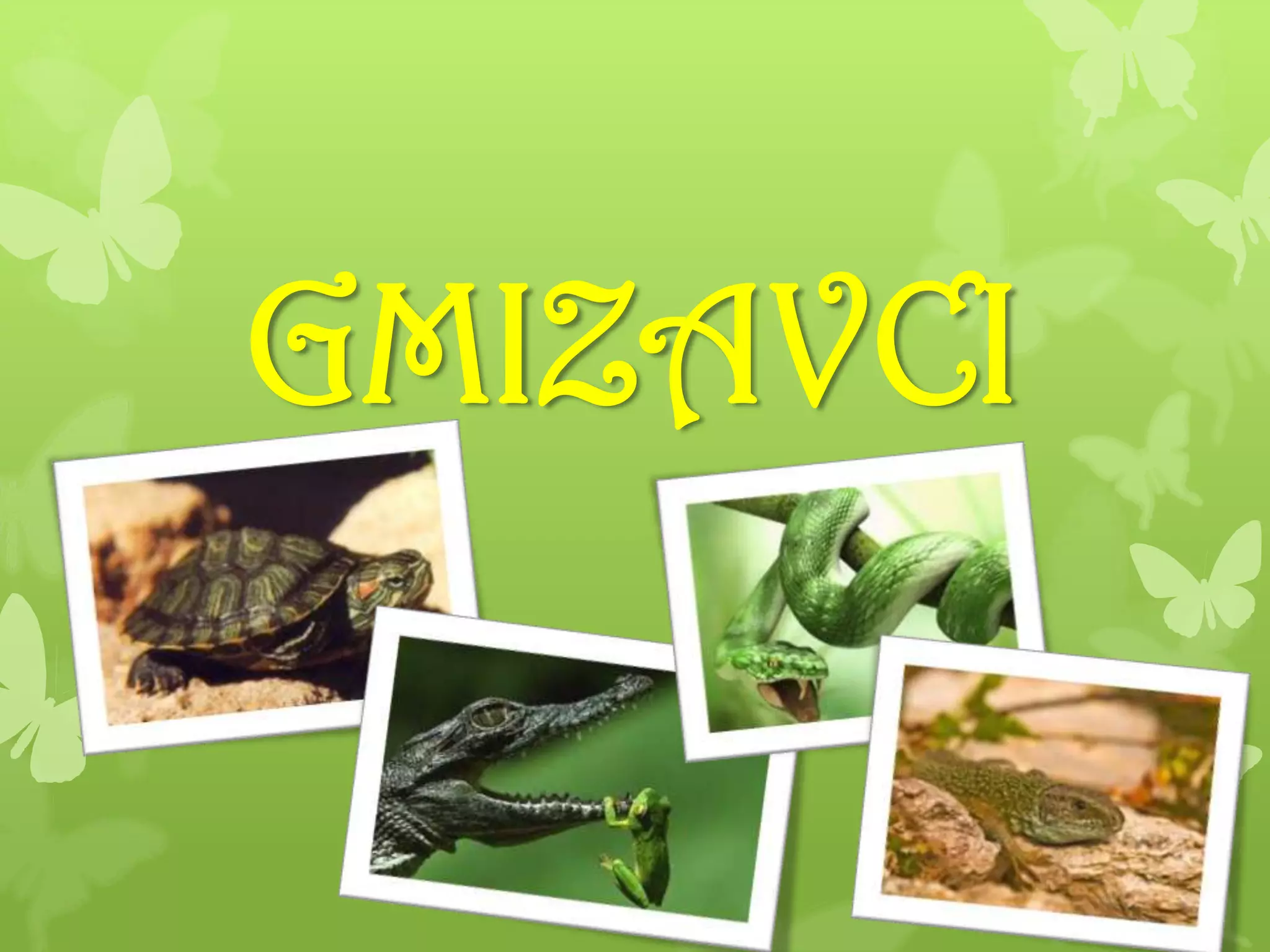 Vodozemci i gmizavci | PPTX