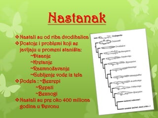 Vodozemci i gmizavci | PPT