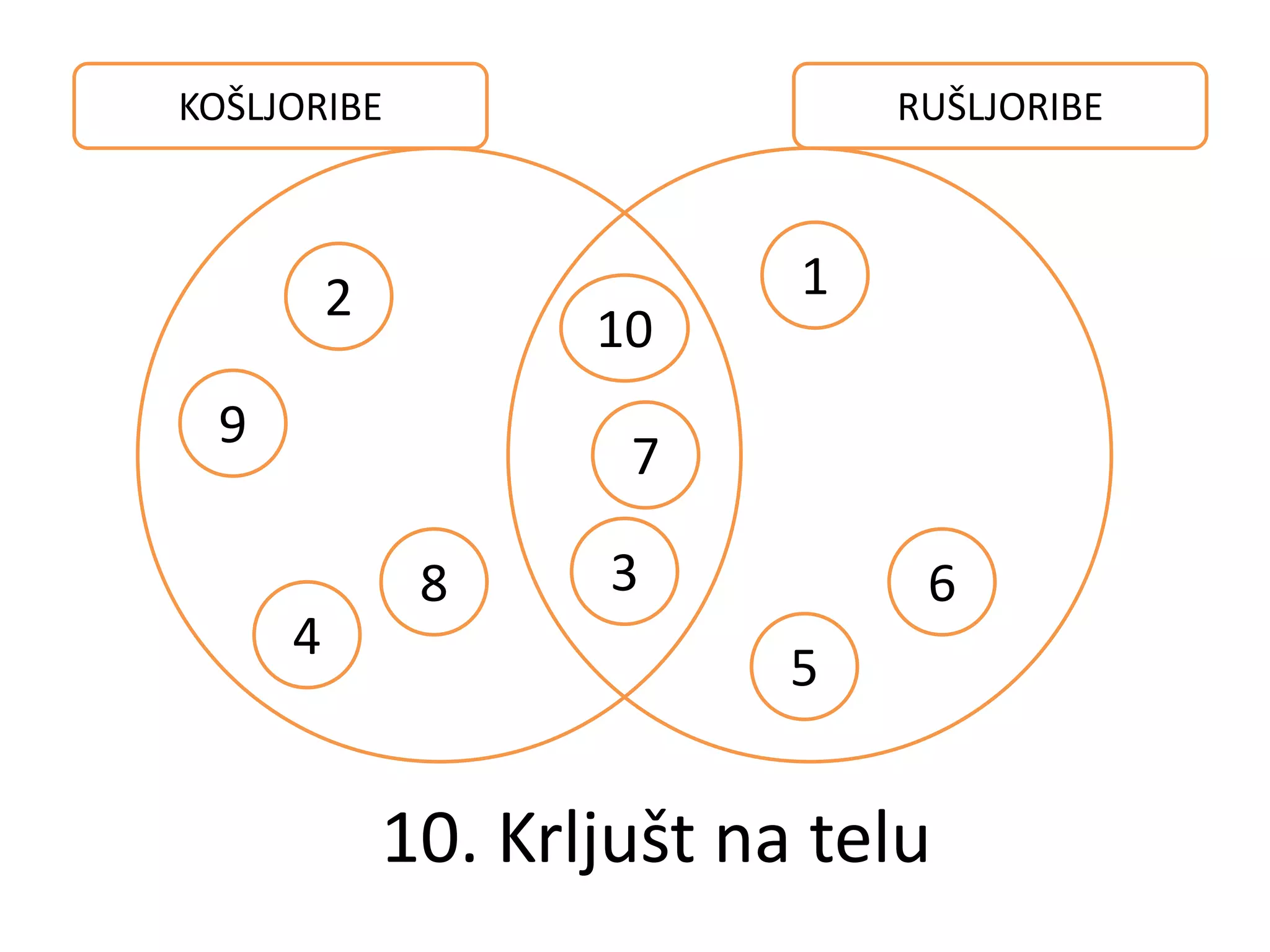 Vodozemci i ribe-ponavljanje | PPTX
