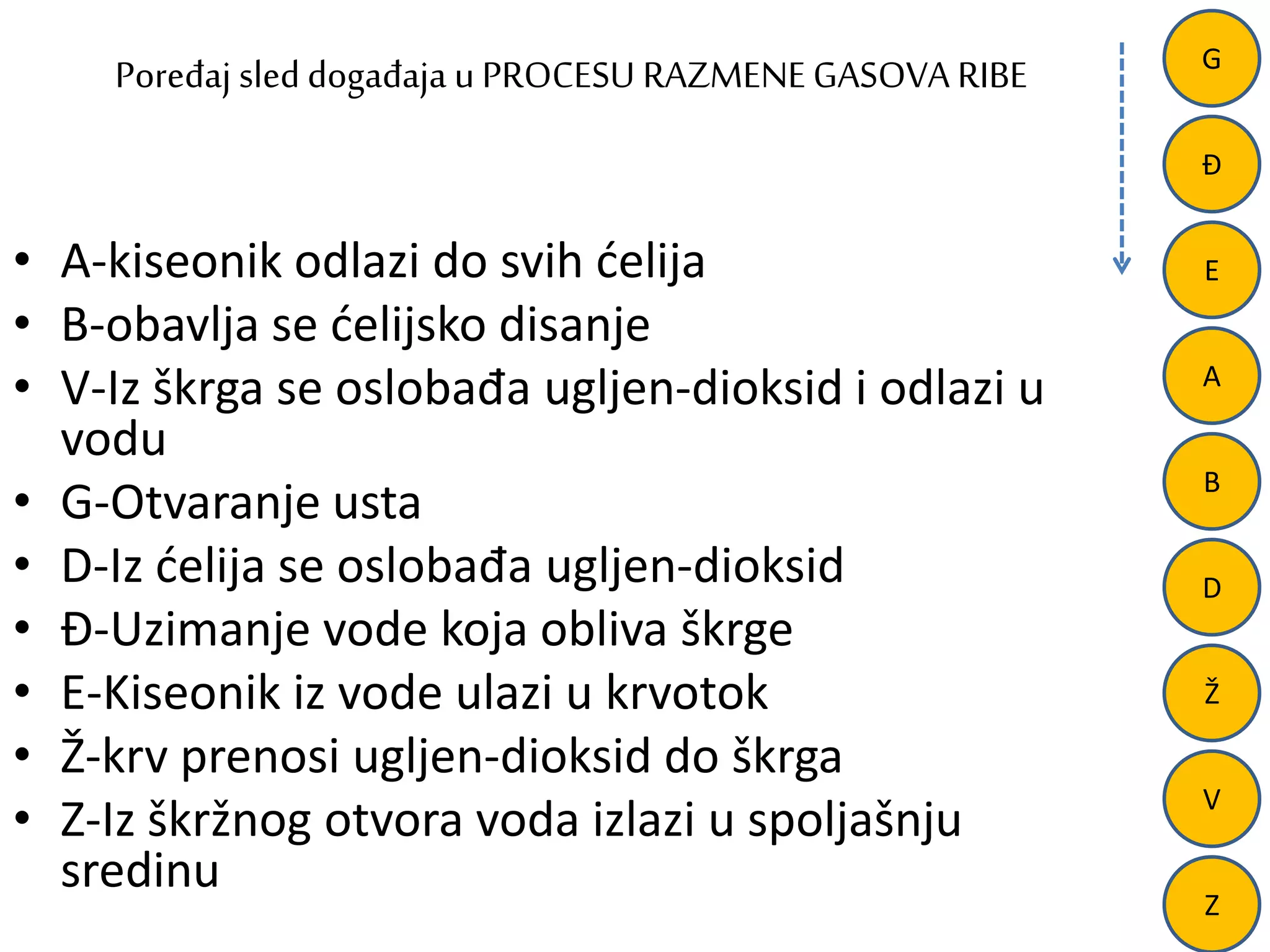 Vodozemci i ribe-ponavljanje | PPTX