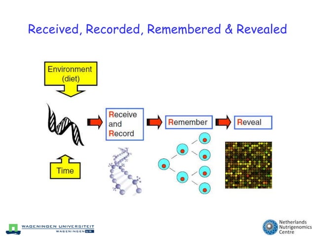 Short intro epigenetics & nutrigenomics& the early impact of nutrition | PPTX | Genetics | Science