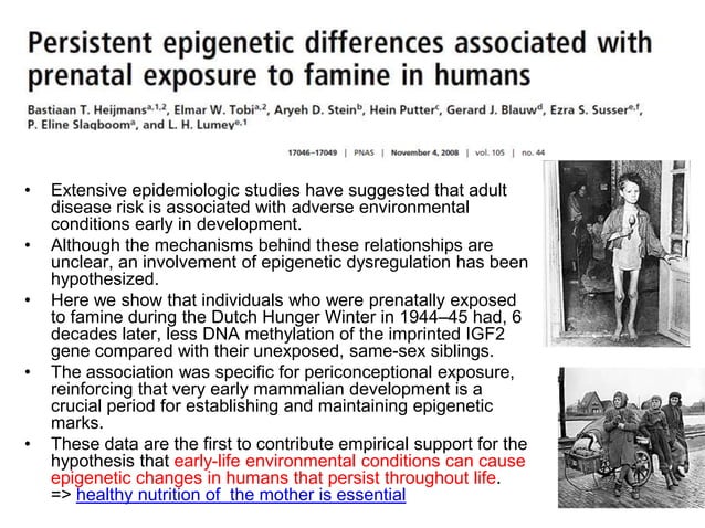 Short intro epigenetics & nutrigenomics& the early impact of nutrition | PPTX | Genetics | Science