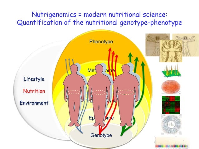 Short intro epigenetics & nutrigenomics& the early impact of nutrition | PPTX | Genetics | Science