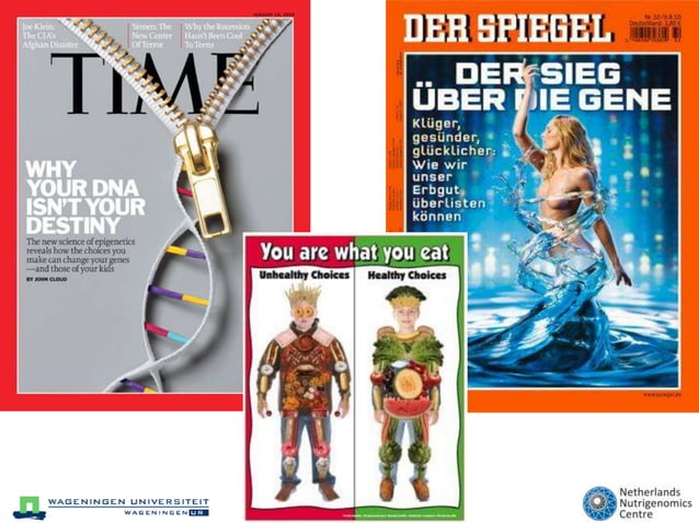 Short intro epigenetics & nutrigenomics& the early impact of nutrition | PPTX | Genetics | Science