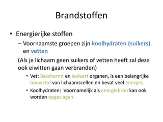 Voedingsstoffen | PPTX