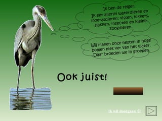 Vogels in onze_tuin_a_ | PPS