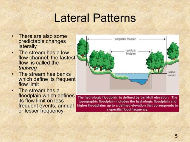 Hydrology.ppt | Free Download