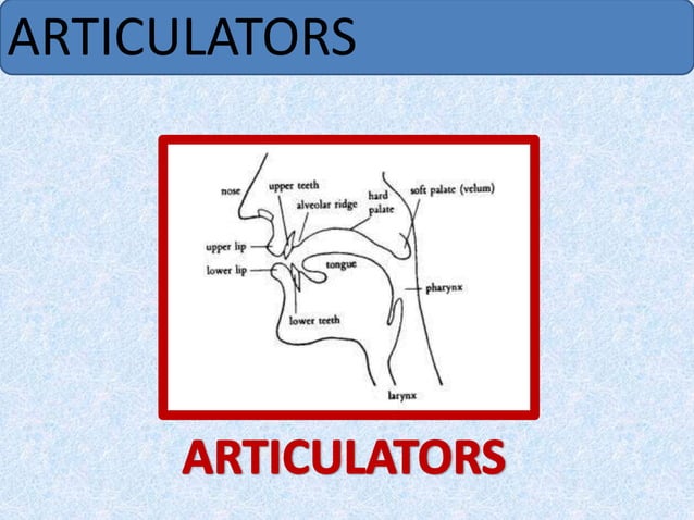 Voice and accent | PPTX | Medical Health