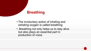 Voice; breathing & intonation | PPTX