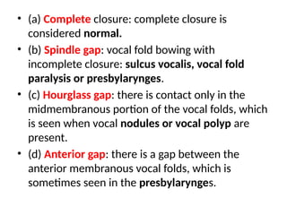 voice disorders AmmanAnatomy and P .pptx
