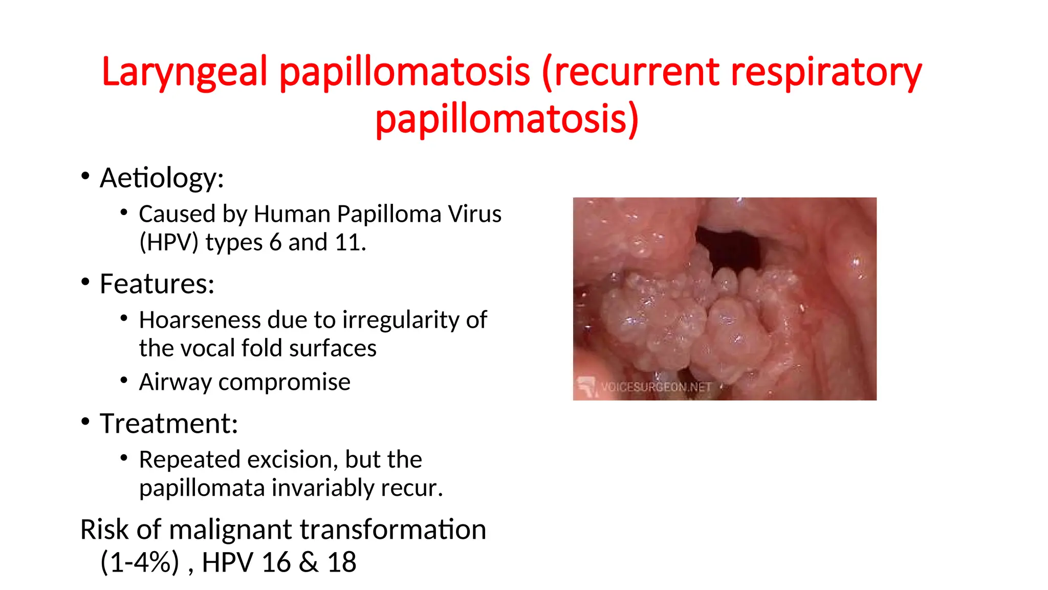 Voice disorders for students2..... (2).ppt