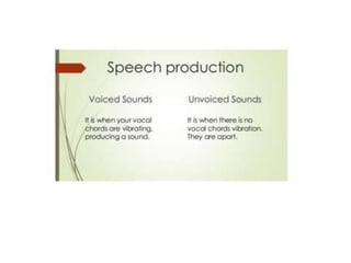 Speech Mechanism | PPTX
