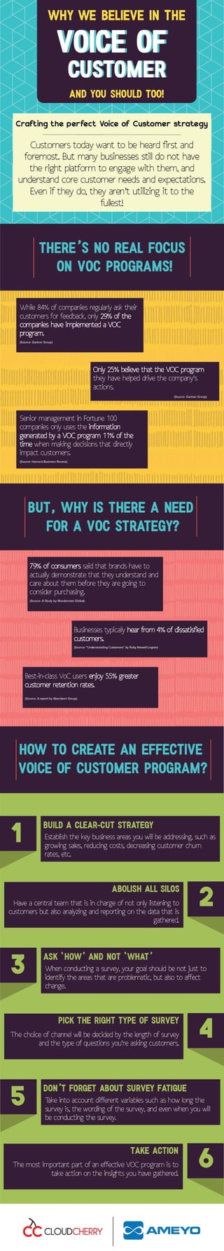 Voice of customer | PDF