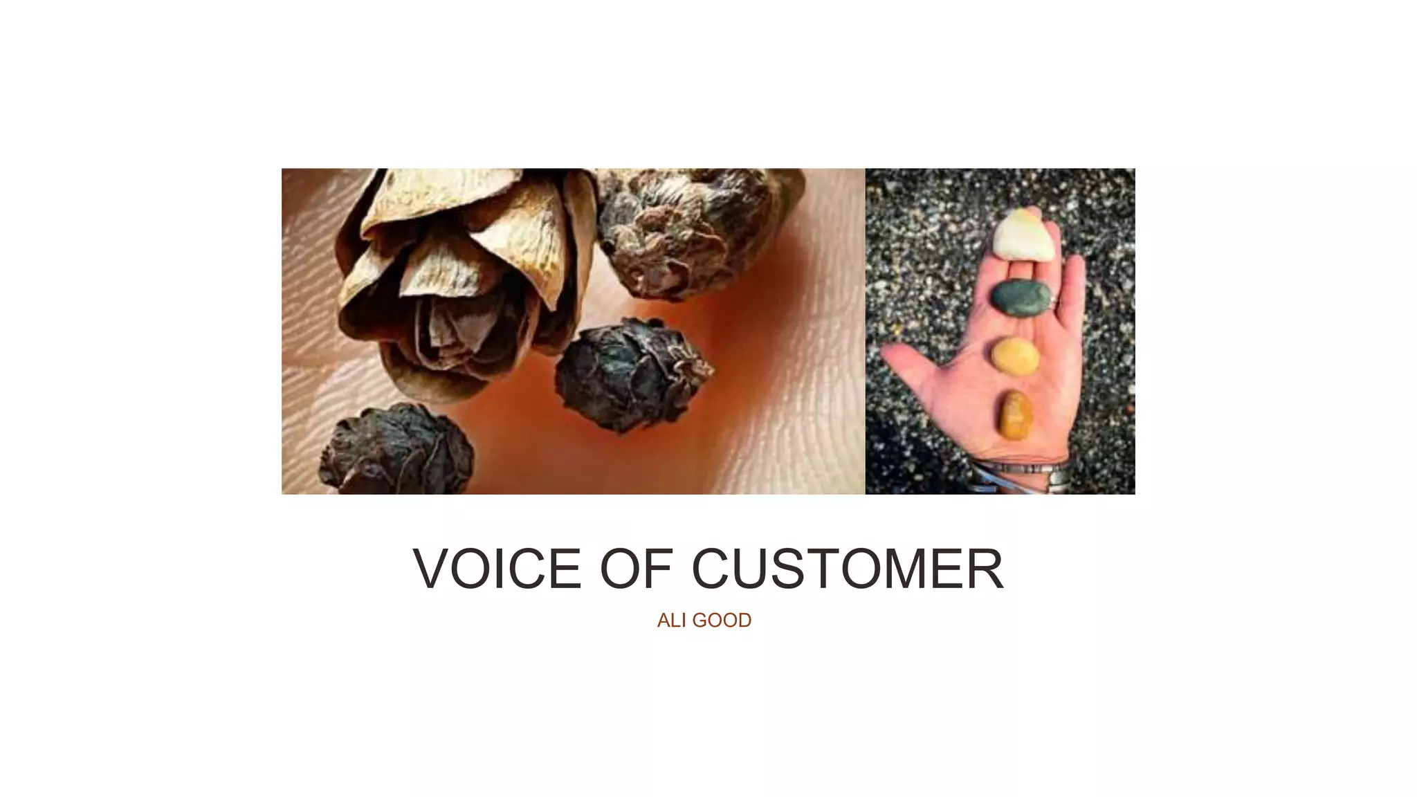 Voice of Customer - Ali Good.pptx