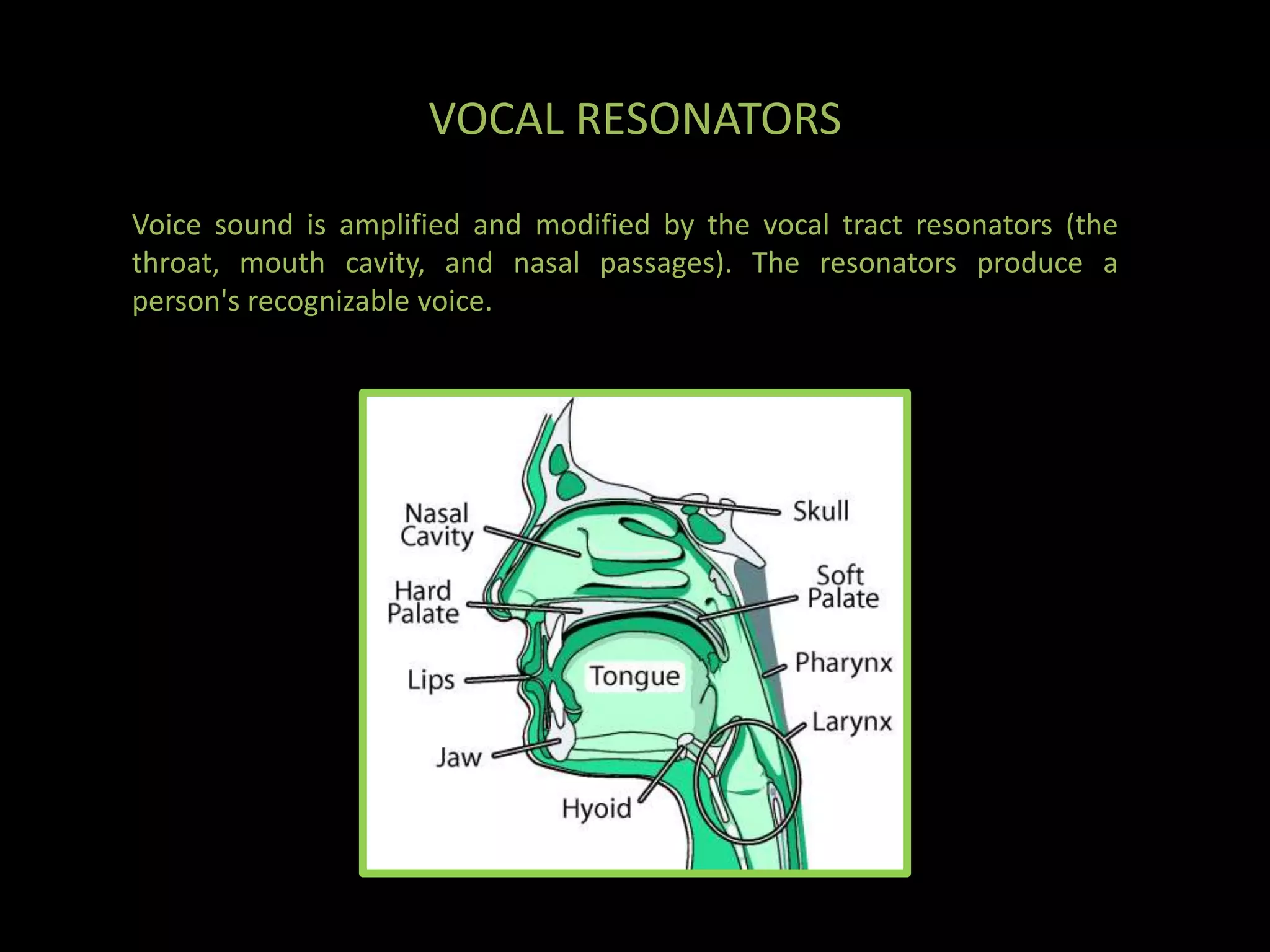 Voice production | PPTX