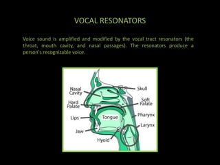 Voice production | PPTX