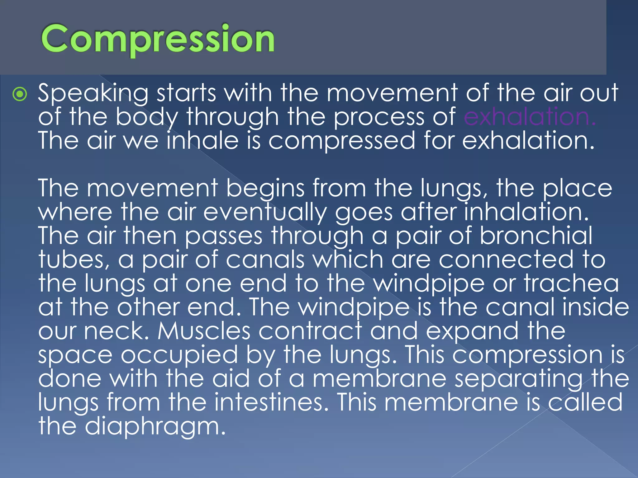 Voice production | PPTX