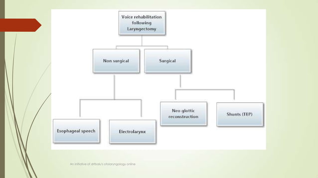 Voice rehabilitation following laryngectomy | PPTX | Ear, Nose and ...