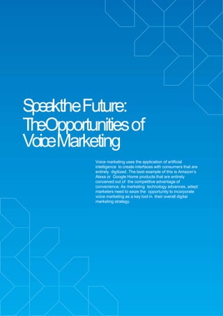 Voice Marketing | PPTX