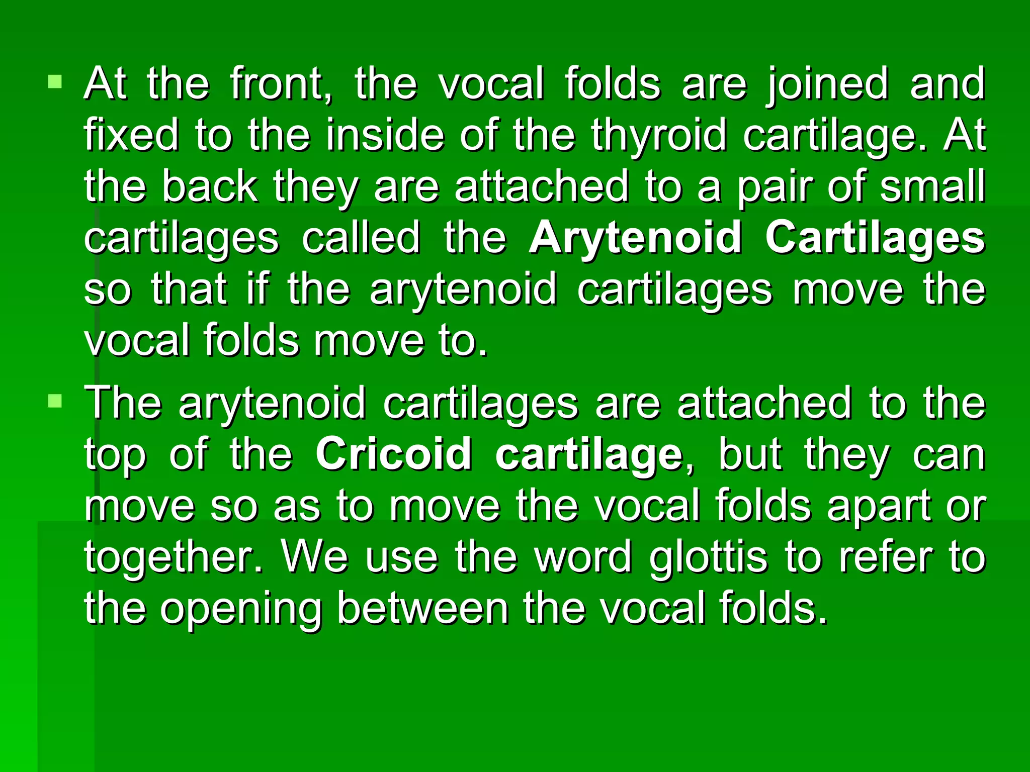 Voicing And Consonants | PPT