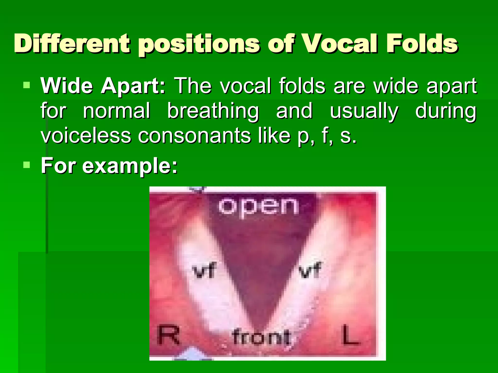 Voicing And Consonants | PPT