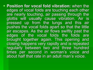Voicing And Consonants | PPT