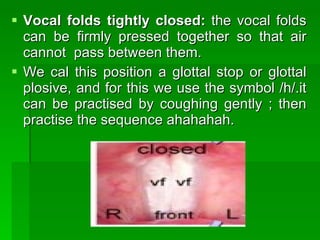 Voicing And Consonants | PPT