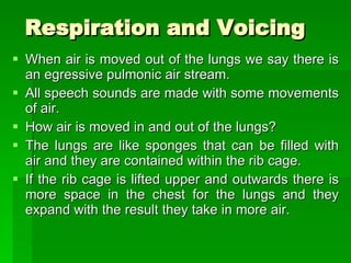 Voicing And Consonants | PPT