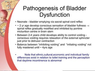 Voiding Disorders In Children | PPT