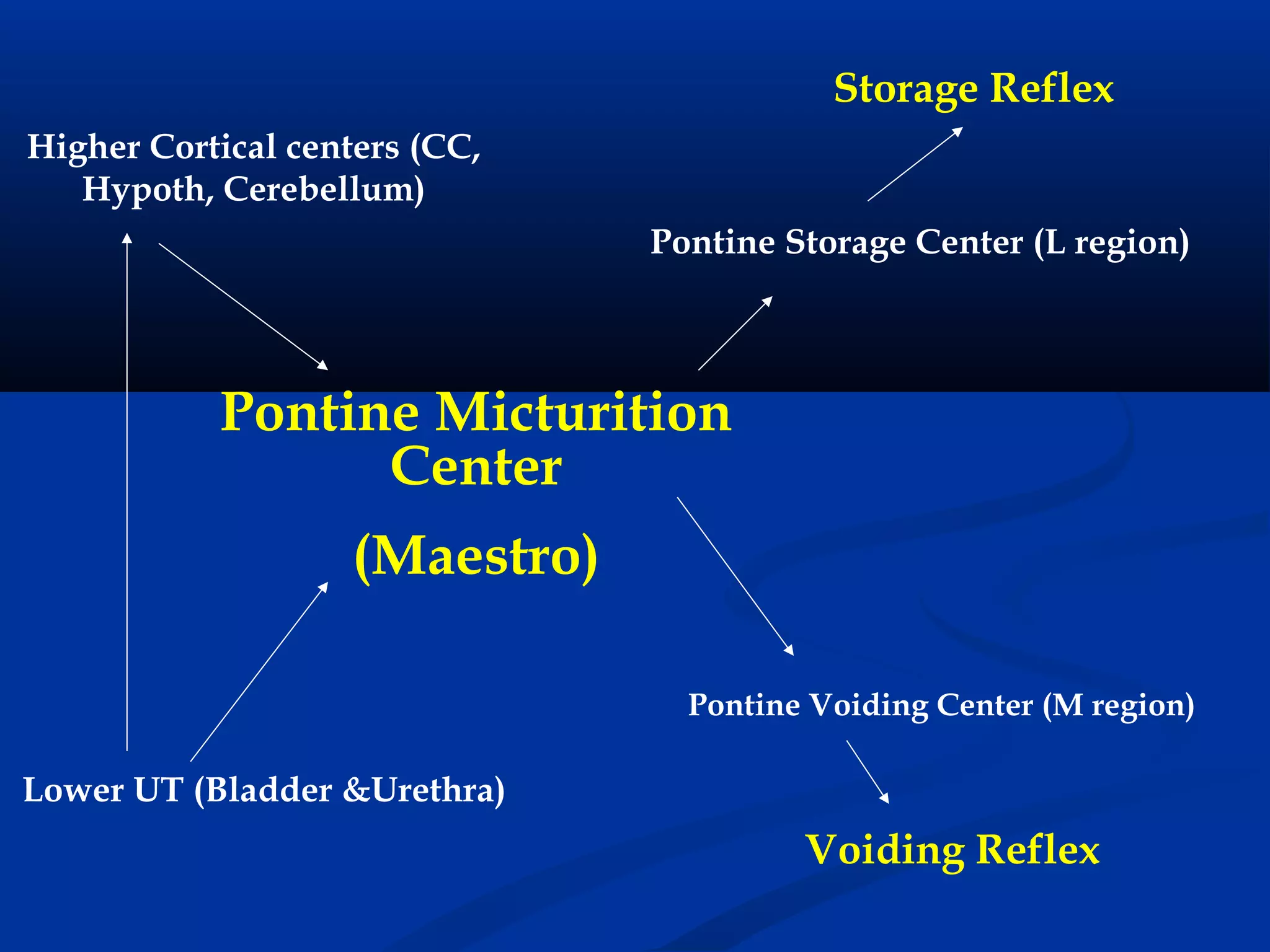 Voiding dysfunction A Simple Approach Towards Understanding and ...