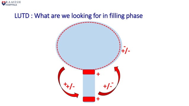Voiding dysfunction in female final presentation | PPTX | Medical Health