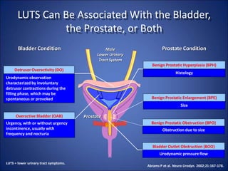 VOIDING DYS TEACHING Overactive_Bladder management plane..ppt