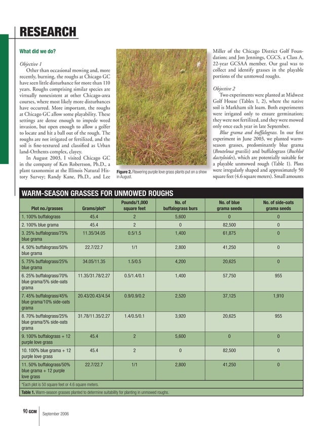 Turf and Native Grasses for Naturalized Roughs - Golf Institute | PDF ...